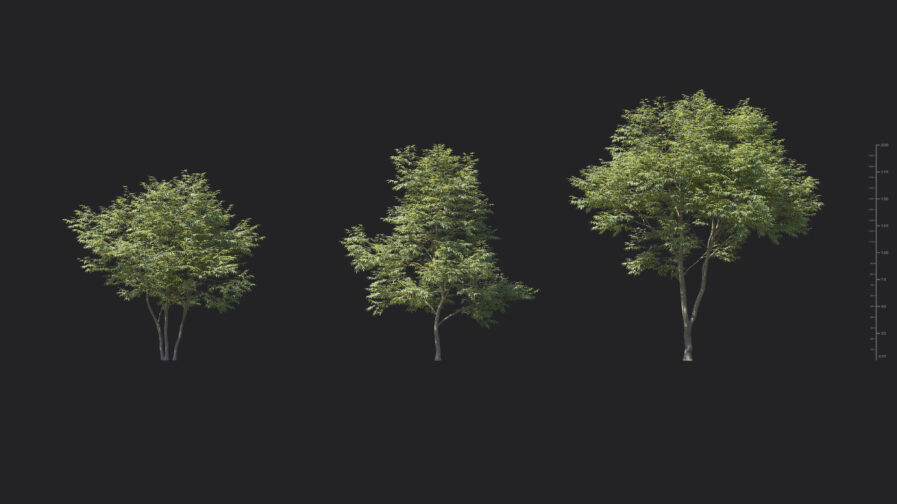 Maxtree Vol 23-new - DITIM 3DSMAX