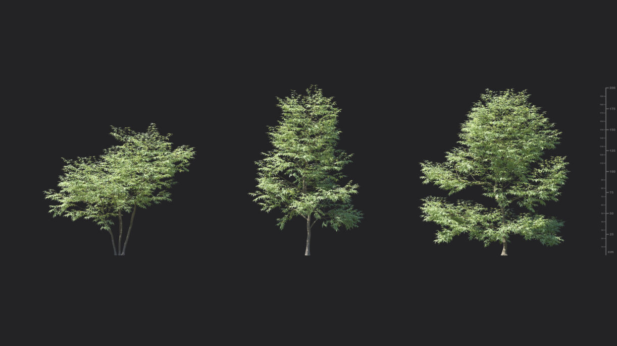 Maxtree Vol 23-new - DITIM 3DSMAX