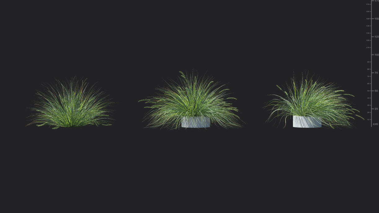 Maxtree Vol 23-new - DITIM 3DSMAX