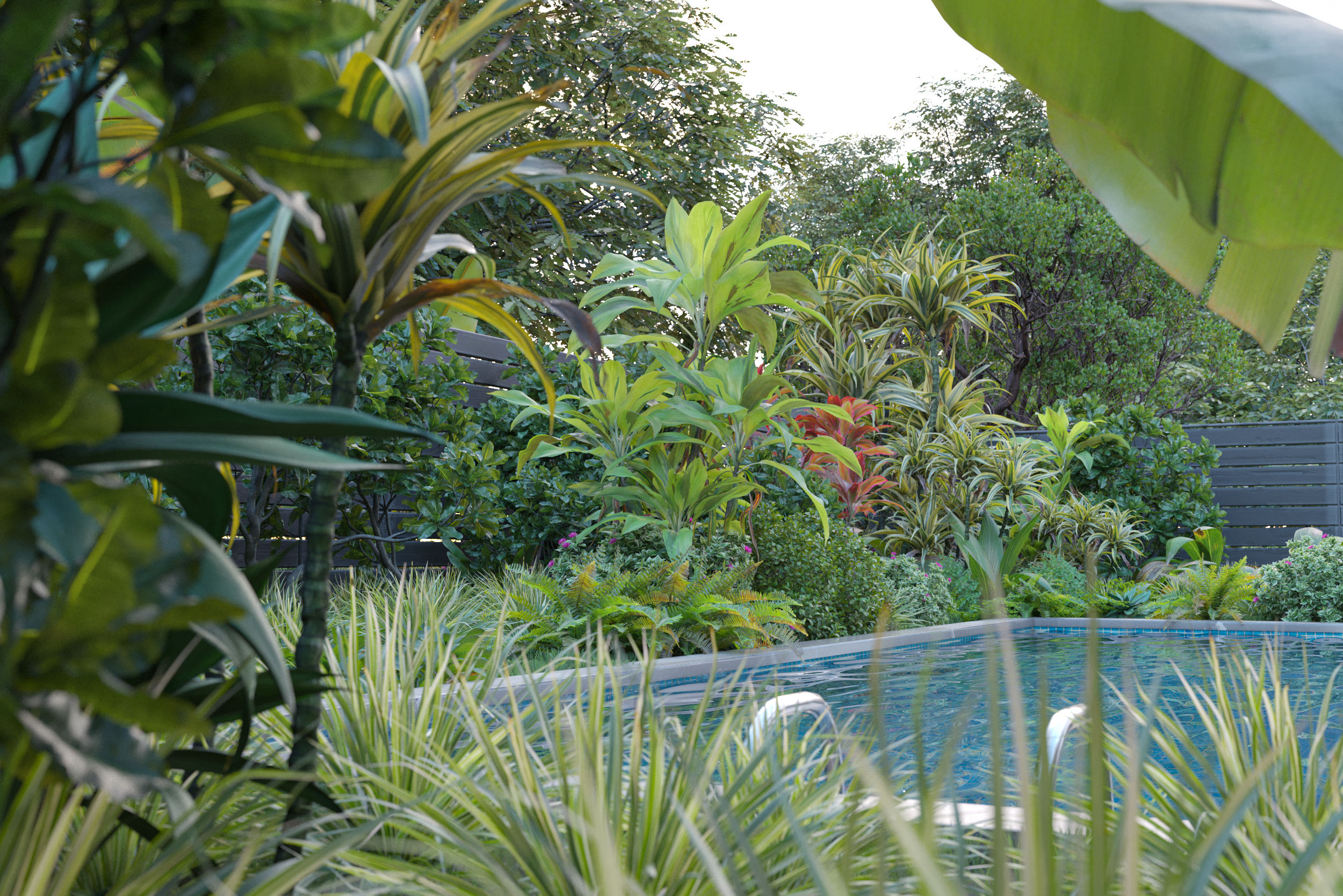 Maxtree Vol 10-new - DITIM 3DSMAX