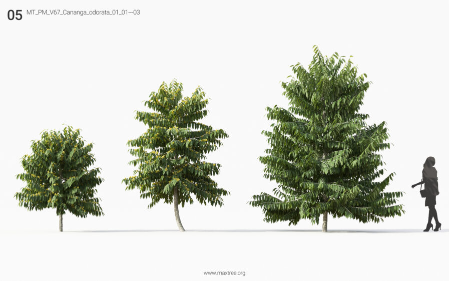 Maxtree Vol 67 - DITIM 3DSMAX