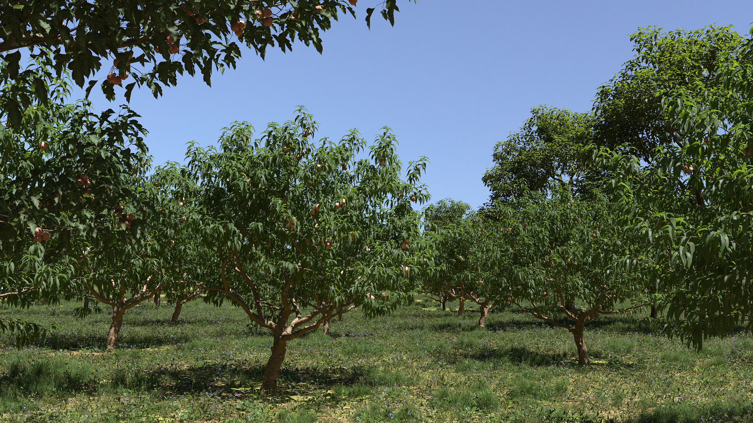 Maxtree Vol 36 - DITIM 3DSMAX