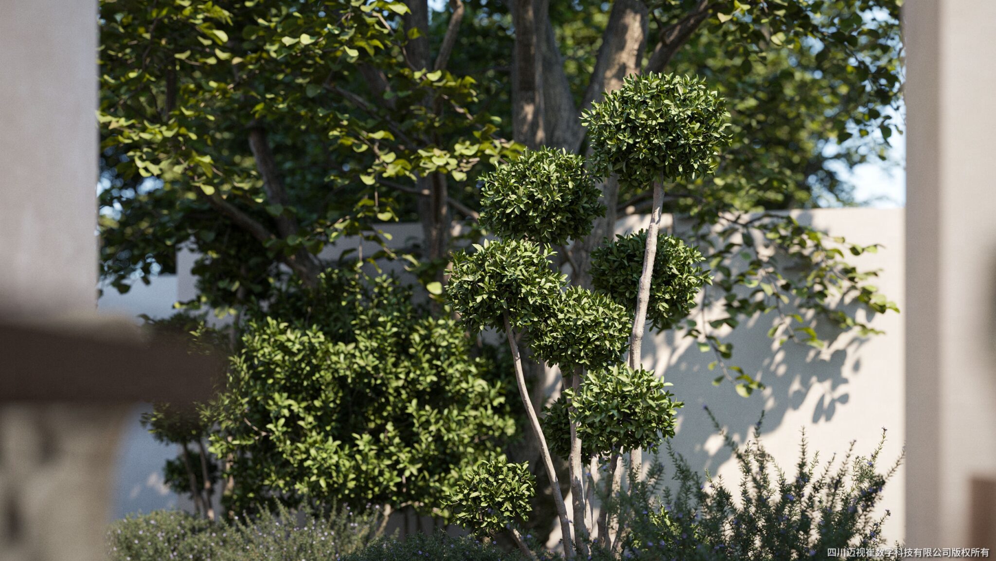 Maxtree Vol 56-new - DITIM 3DSMAX