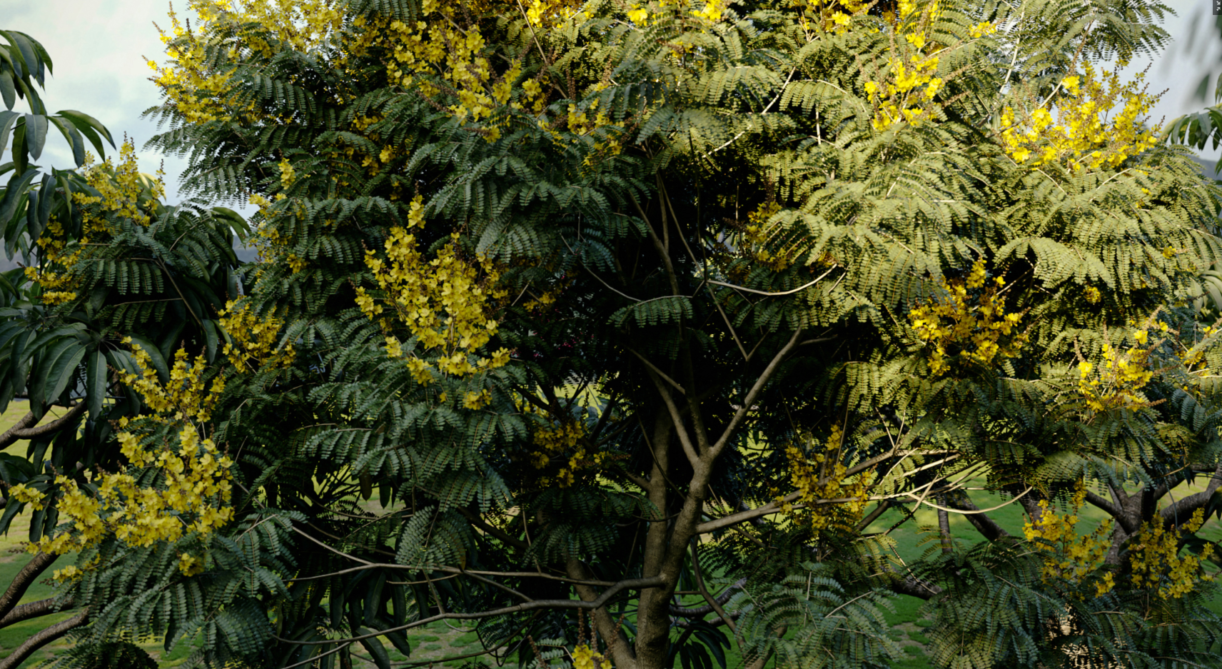 Maxtree Vol 67 - DITIM 3DSMAX