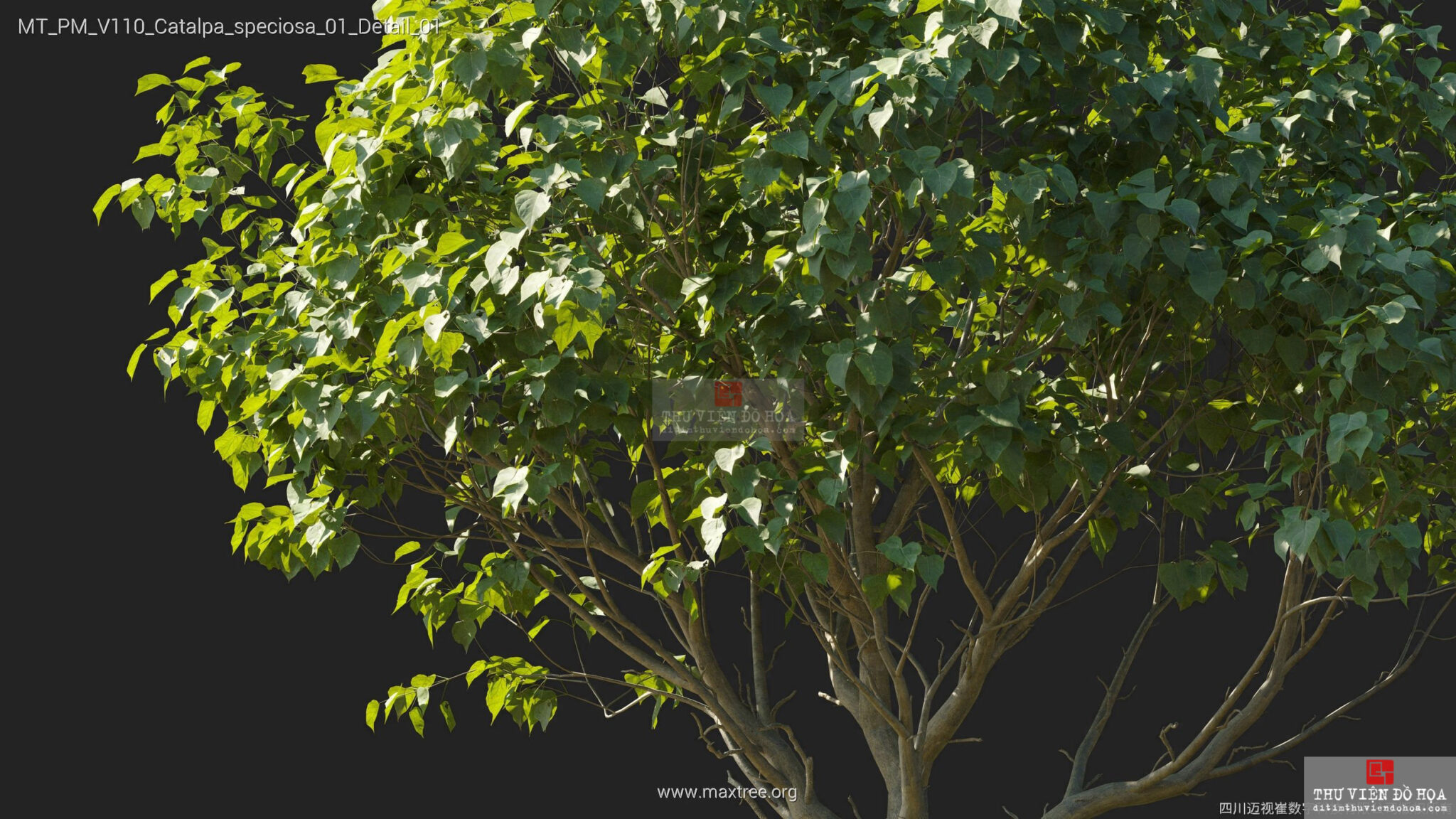 Maxtree Vol 110 - DITIM 3DSMAX