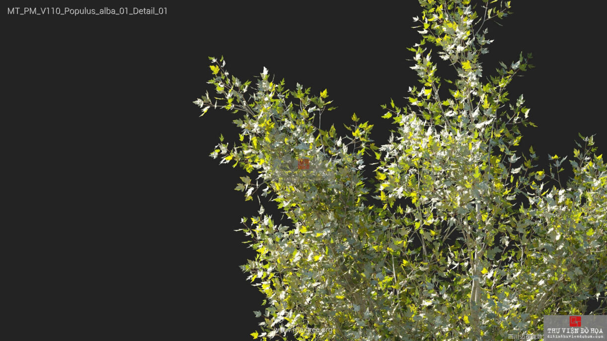 Maxtree Vol 110 - DITIM 3DSMAX