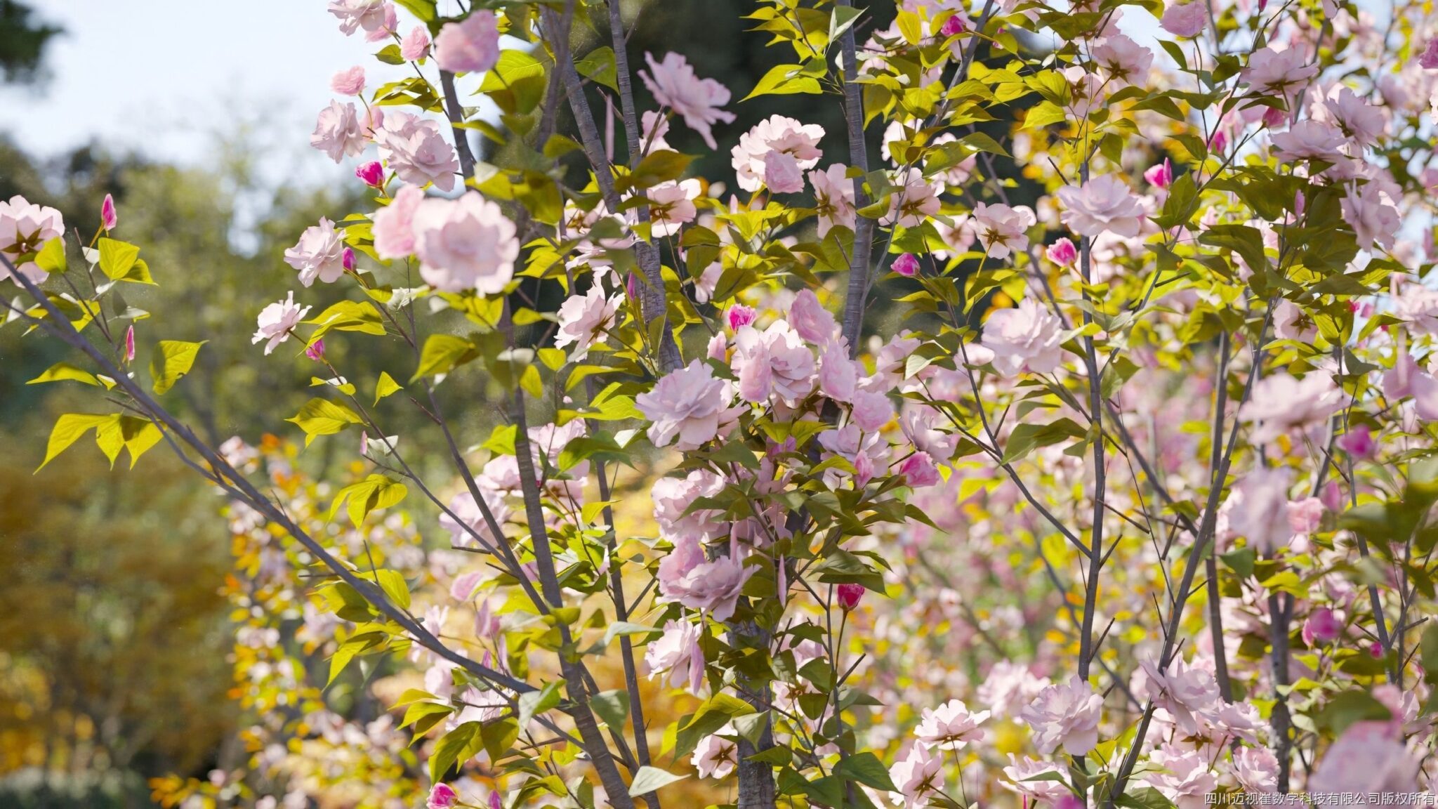 Maxtree Vol 134 - DITIM 3DSMAX