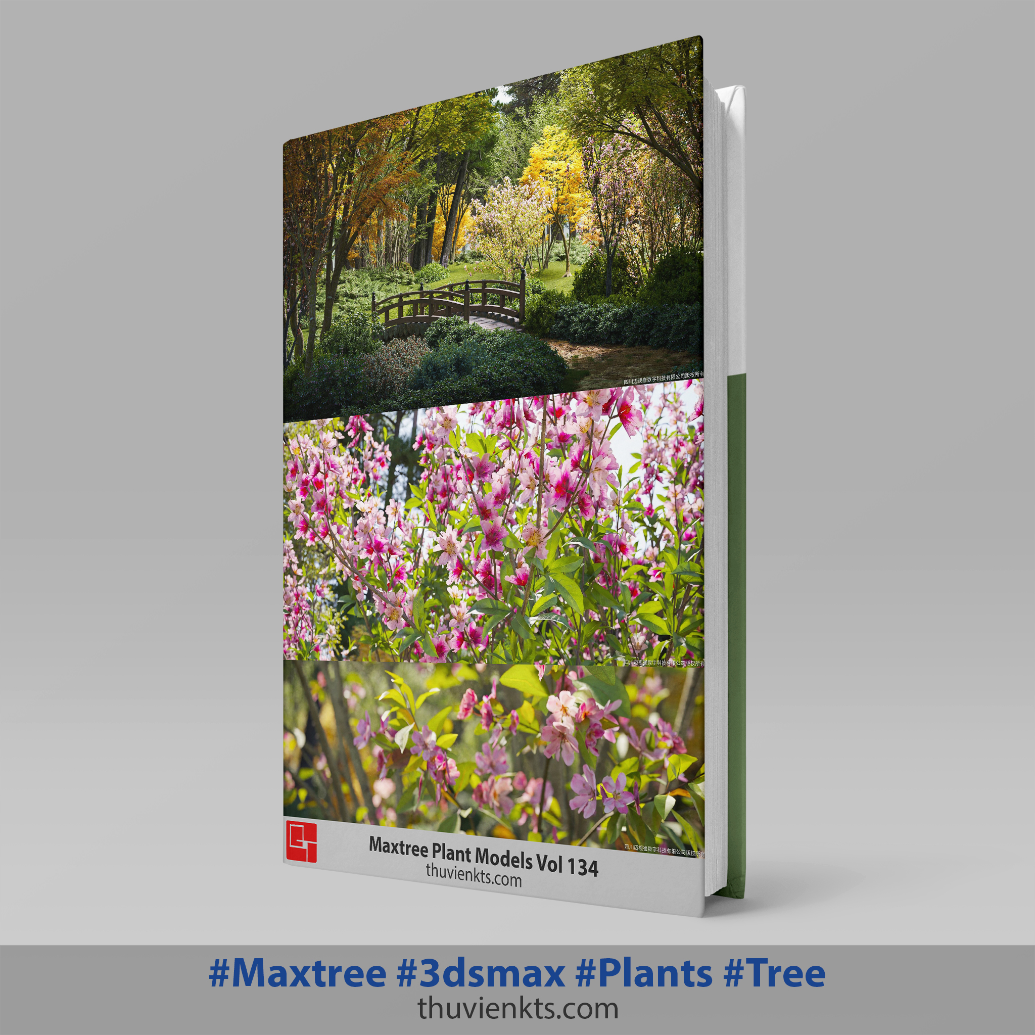Maxtree Vol 134 - DITIM 3DSMAX