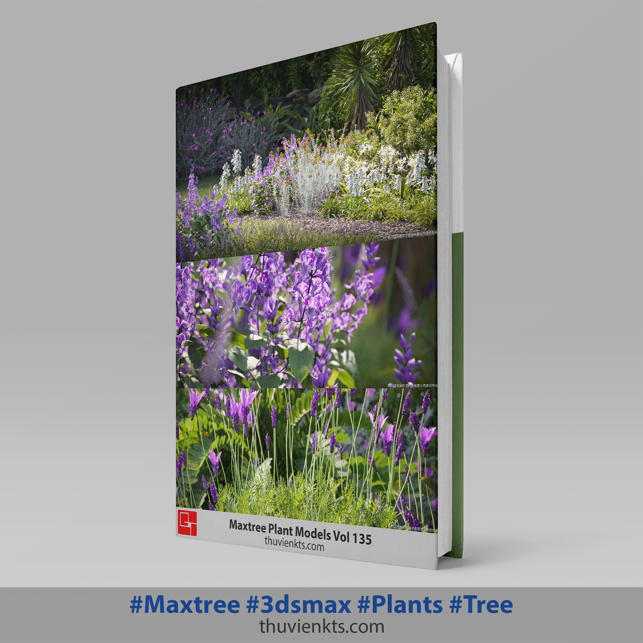 Maxtree Vol 135 - DITIM 3DSMAX