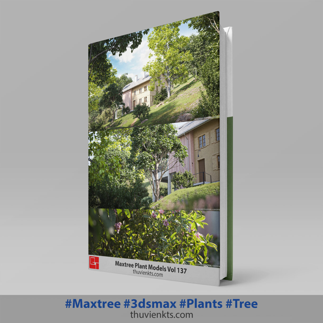 Maxtree Vol 137 - DITIM 3DSMAX